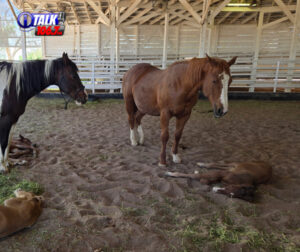 GREER FIRE – THE LATEST UPDATES CAN BE FOUND HERE: – iTalk 106.7 FM